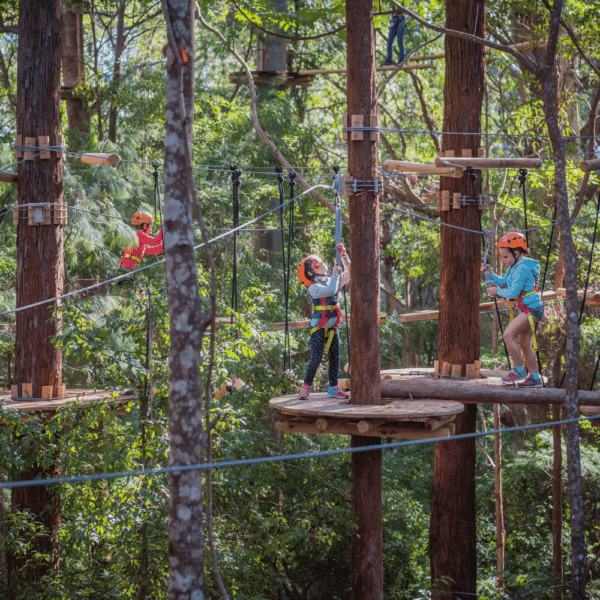 Treetops Adventure Newcastle - SPARK POP