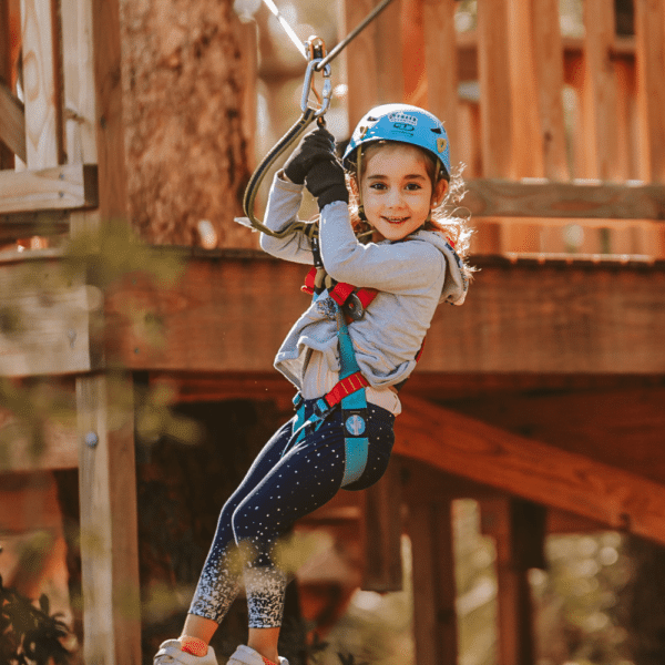 Treetops Adventure - SPARK POP