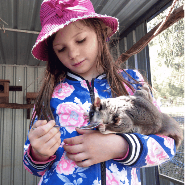 Fluff n Stuff Encounter - SPARK POP