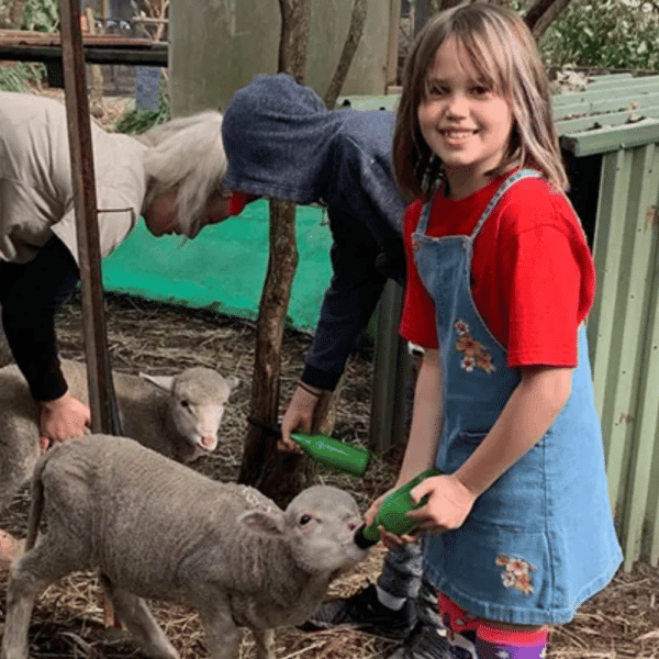 Junior Zookeeper 4 A Day Program - SPARK POP