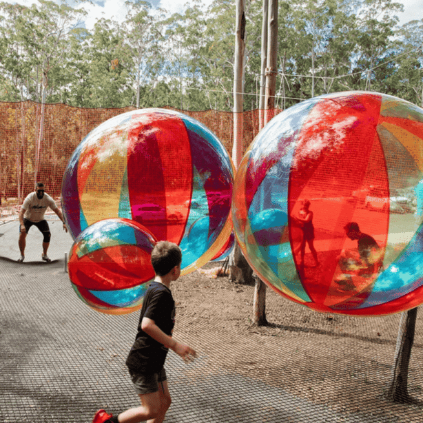 Suspended Nets - SPARK POP