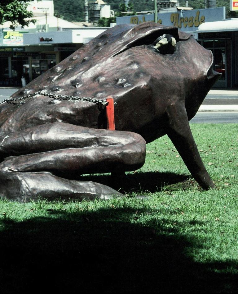 Big Cane Toad - SPARK POP